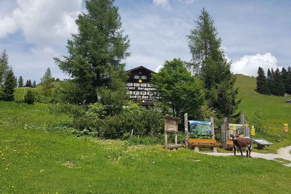 Die Loferer Alm Hütten & Berge mit der Saalachtal Sommercard erleben