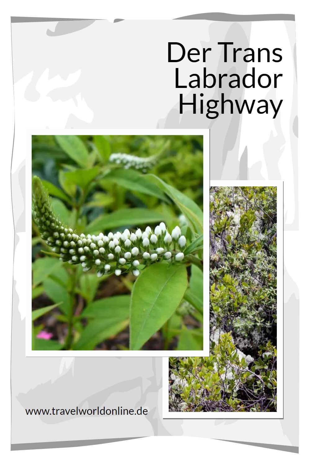 Der Trans Labrador Highway von Baie Comeau nach Labrador