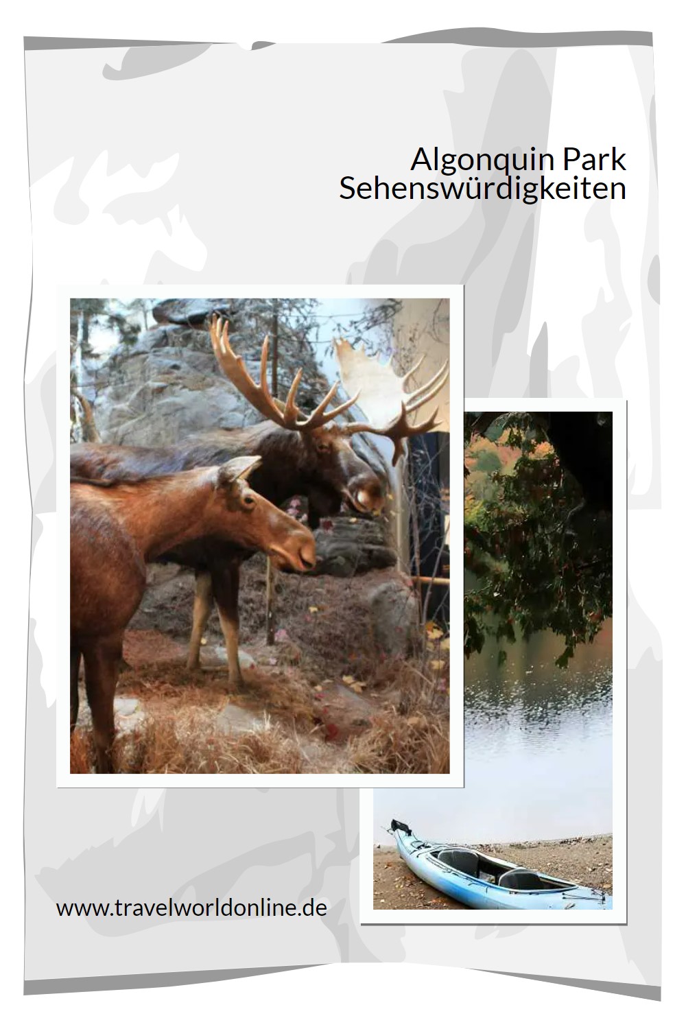 Algonquin Park Sehenswürdigkeiten: Highlights und Geheimtipps